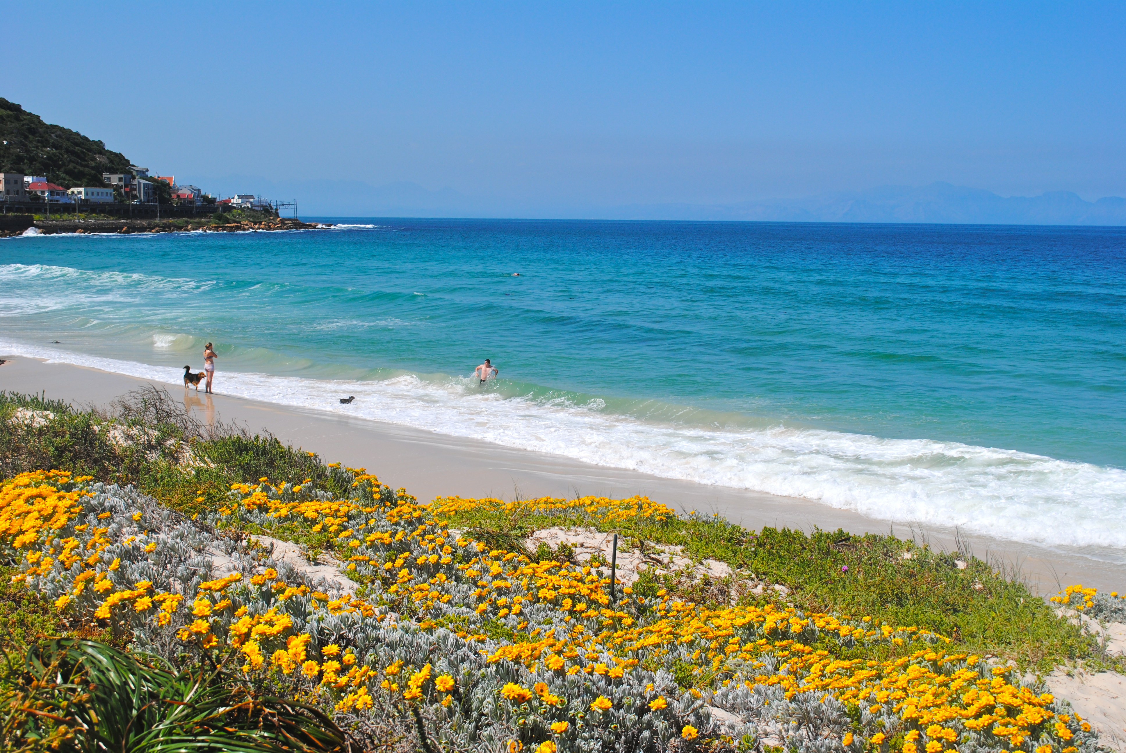 Things to do in and around Fish Hoek